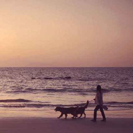 3 Ways to Be Safer Walking a Dog at Night | PetCarerX