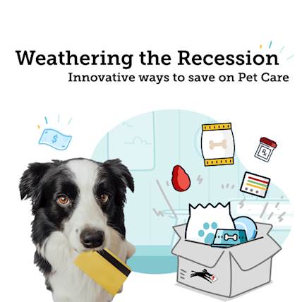 Weathering the Recession Wave | PetCareRx