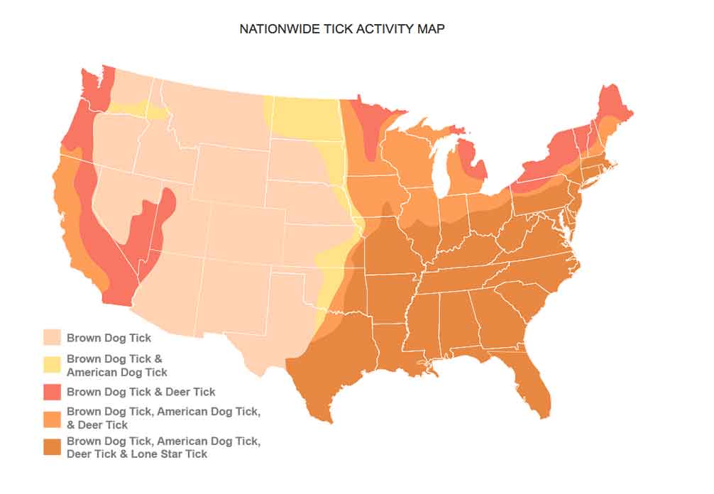 Pet Care Tools - Pest Warnings, Health Advice and More | PetCareRx