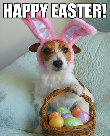 Happy Easter from PetCareRx! | PetCareRx