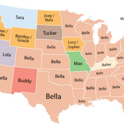 "Bella" is the Doggy Name of the Decade | PetCareRx