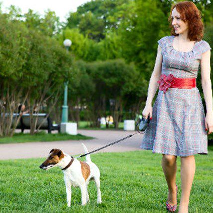 How Does Dog Walking Improve Overall Well-Being? | PetCareRx