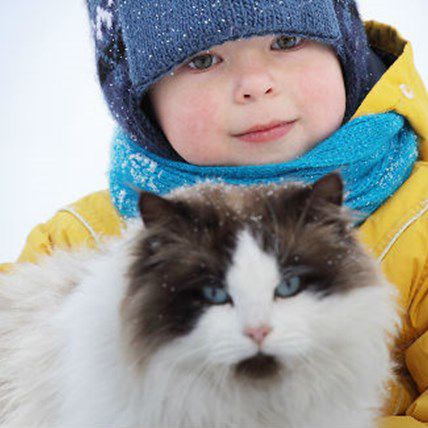 Hero Cat Saves Abandoned Baby Boy from Freezing to Death | PetCareRx