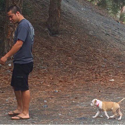 Facebook Helps Brain Cancer Patient Reunite With Lost Dog | PetCareRx