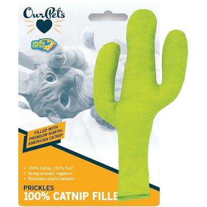 Buy OurPets Cosmic Catnip Cactus Cat toy Online | PetCareRx