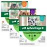Advantage II Cat & Kitten Monthly Flea Treatment - PetCareRx