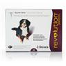 Revolution Heartworm Flea Topical for Cats & Dogs- PetCareRx