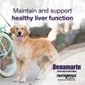 Denamarin Liver Supplement Tablets for Pets - PetCareRx