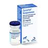 Zycortal Suspension for Dogs, Addison's Disease - PetCareRx