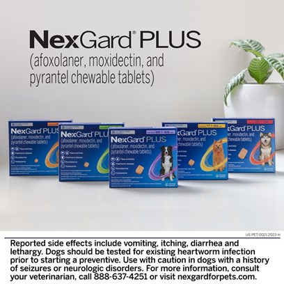 NexGard PLUS Chewables for Dogs Stops Fleas & Ticks in Dogs | PetCareRx