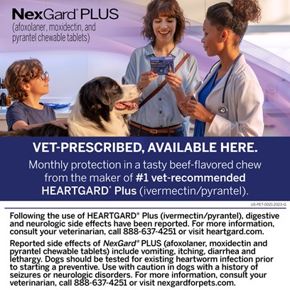NexGard PLUS Chewables for Dogs Stops Fleas & Ticks in Dogs | PetCareRx