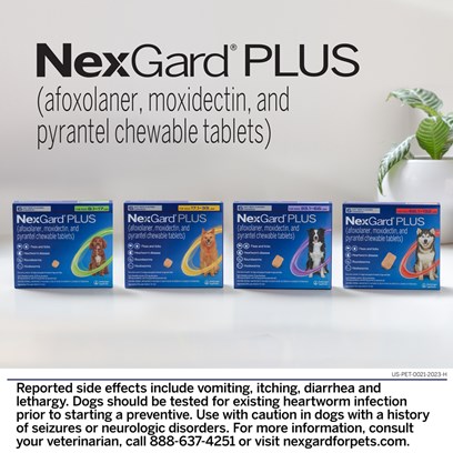 NexGard PLUS Chewables for Dogs Stops Fleas & Ticks in Dogs | PetCareRx