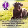 Denamarin Liver Supplement Tablets for Pets - PetCareRx
