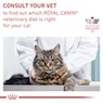 Royal Canin Selected Protein PR Loaf Can Cat Food - PetCareRx