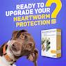 Interceptor Plus Heartworm Prevention for Dogs - PetCareRx