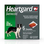 Tri-Heart Plus vs. Heartgard for Dogs | PetCareRx