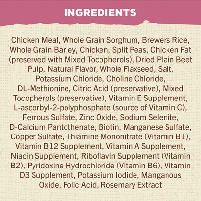 Buy Nutro Max Adult Recipe With Farm Raised Chicken Mini Chunk Dry Dog ...