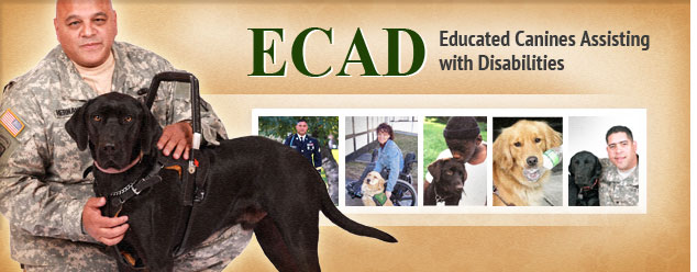 PetCareRx - ECAD Brings Training Expertise